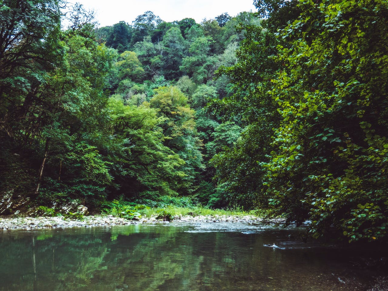 Sparkling Freshness: Exploring Canadian Springs Water 2024 – JWT Canada
